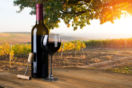 Chianti Wine's Asian Tour Hits Bangkok and Ho Chi Minh City ...