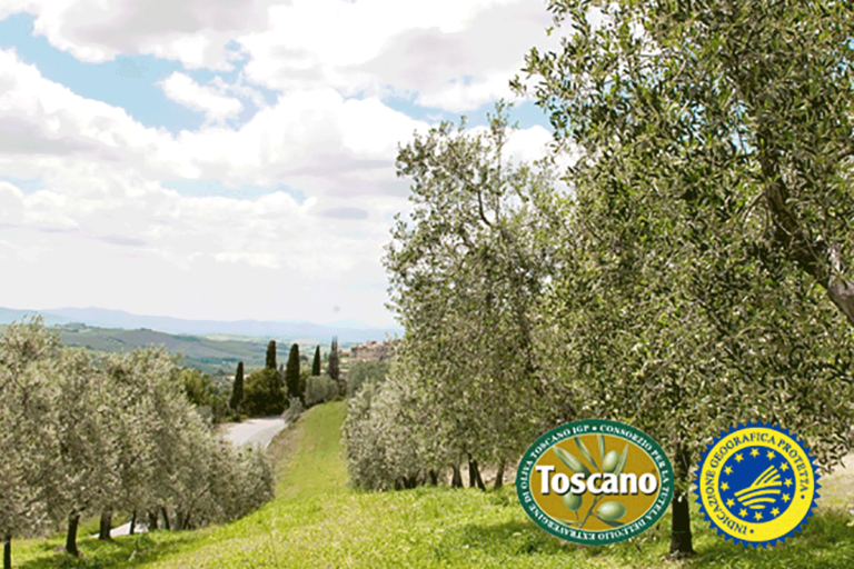 Olio Toscano PGI Promotion Targets German Market - Italianfood.net