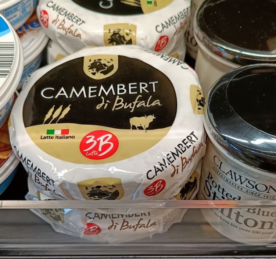 Camembert di Bufala cheese. Italian soft cheese made from buffalo milk ...