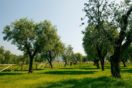 Salov: Record Profits and Sales Growth in 2025 - Italianfood.net
